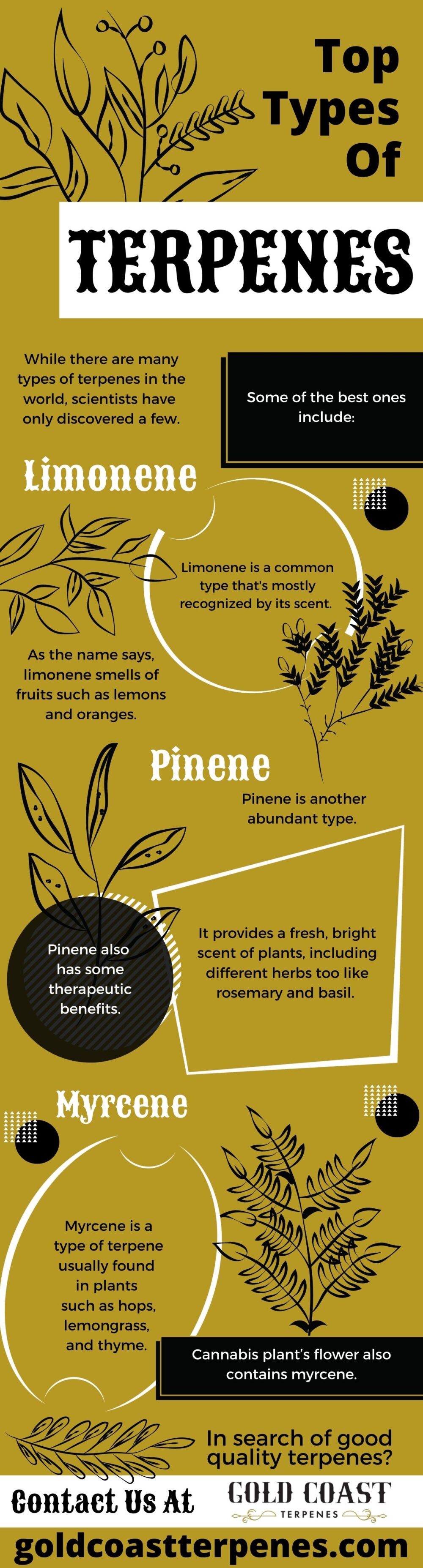 Top Types Of Terpenes - Gold Coast Terpenes