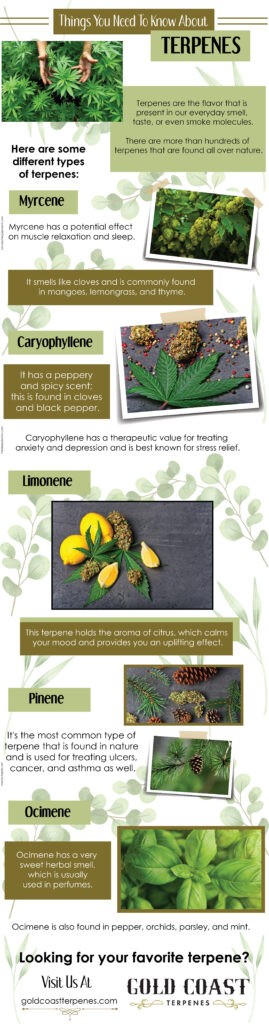 Things You Need To Know About Terpenes - Gold Coast Terpenes