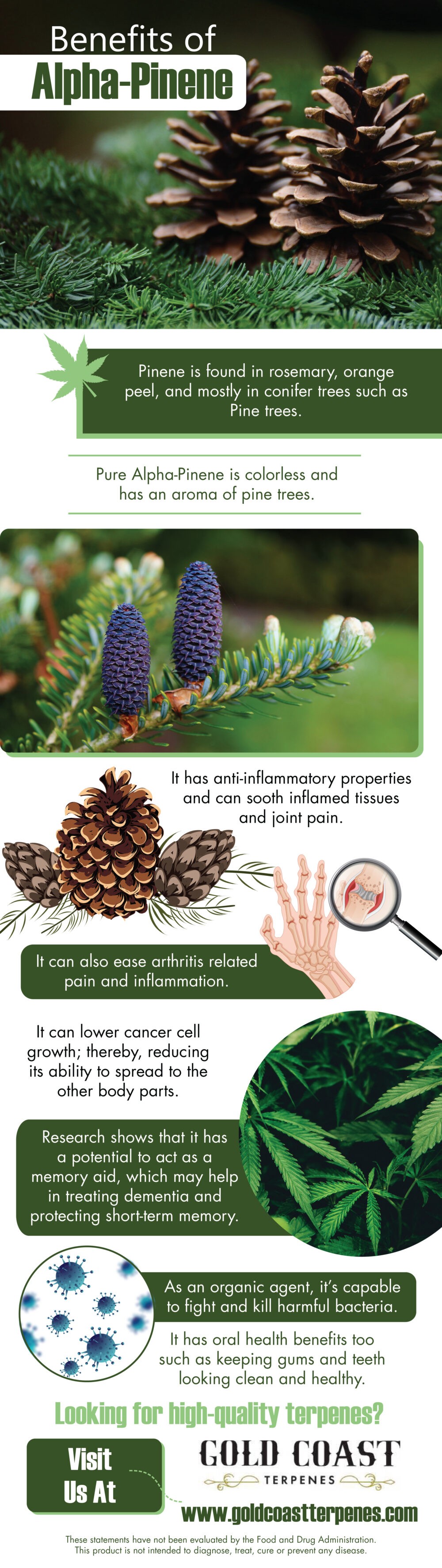 Benefits Of Alpha-Pinene. - Gold Coast Terpenes