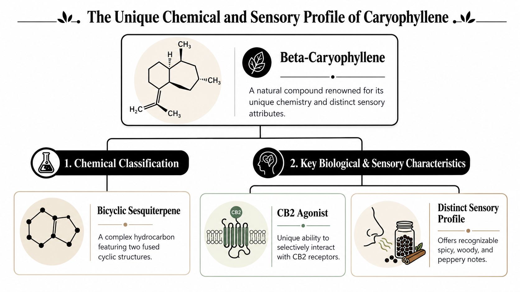 What Is Caryophyllene? a Complete Formulation Guide